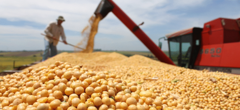 Arquivo de Agro - ECONT Sistemas